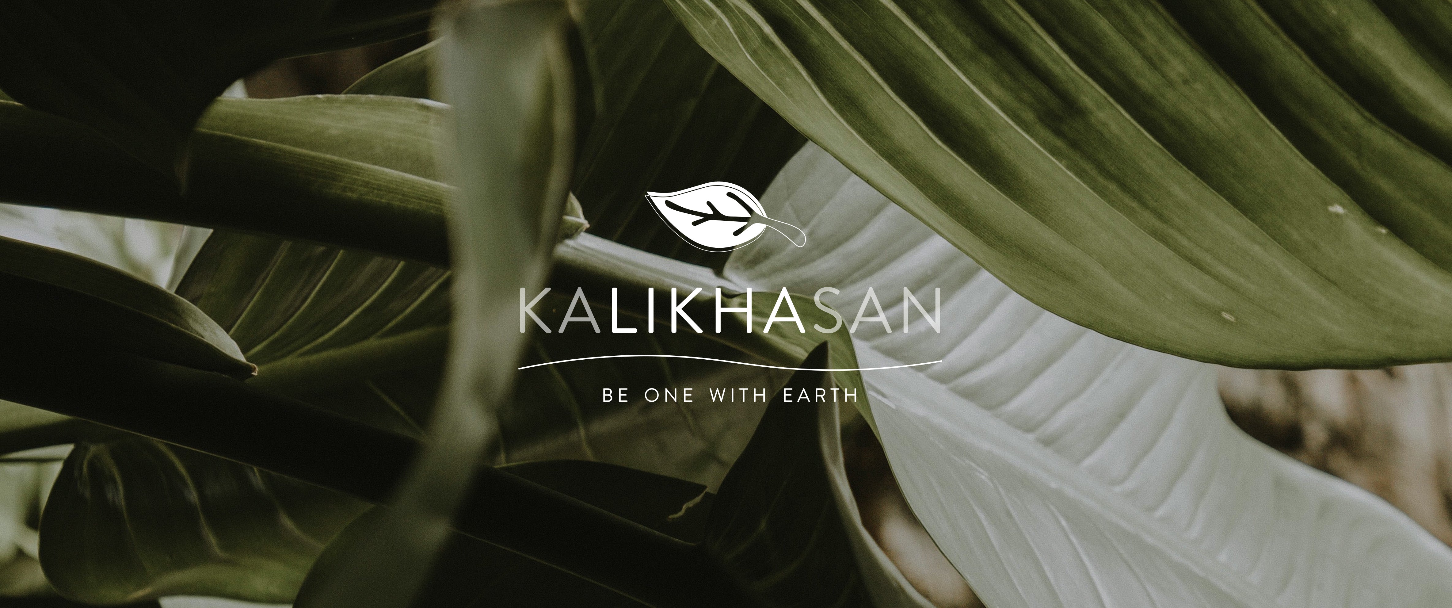 Helping Kalikhasan Grow Online – Alaia Design Studio